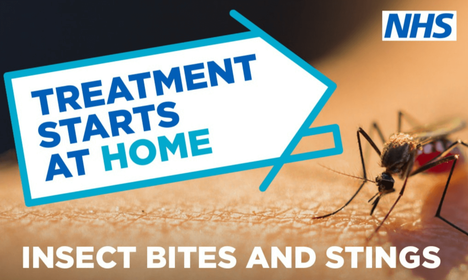 Bitten or Stung? Here’s How to Treat Insect Bites at Home and When to ...