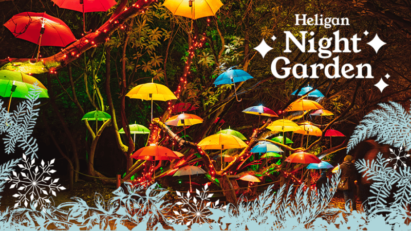 The Lost Gardens of Heligan Night Garden Returns with Dazzling New ...