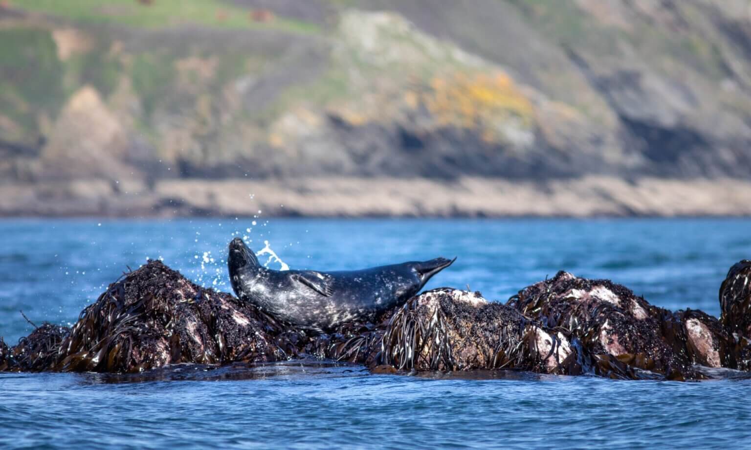 The Ultimate Cornwall Bucket List: 25 Must-Do Experiences - CornishStuff