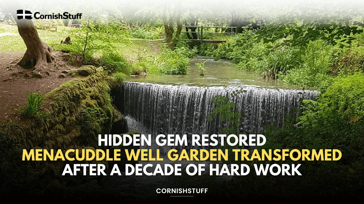 Hidden Gem Restored: Menacuddle Well Garden Transformed After a Decade ...