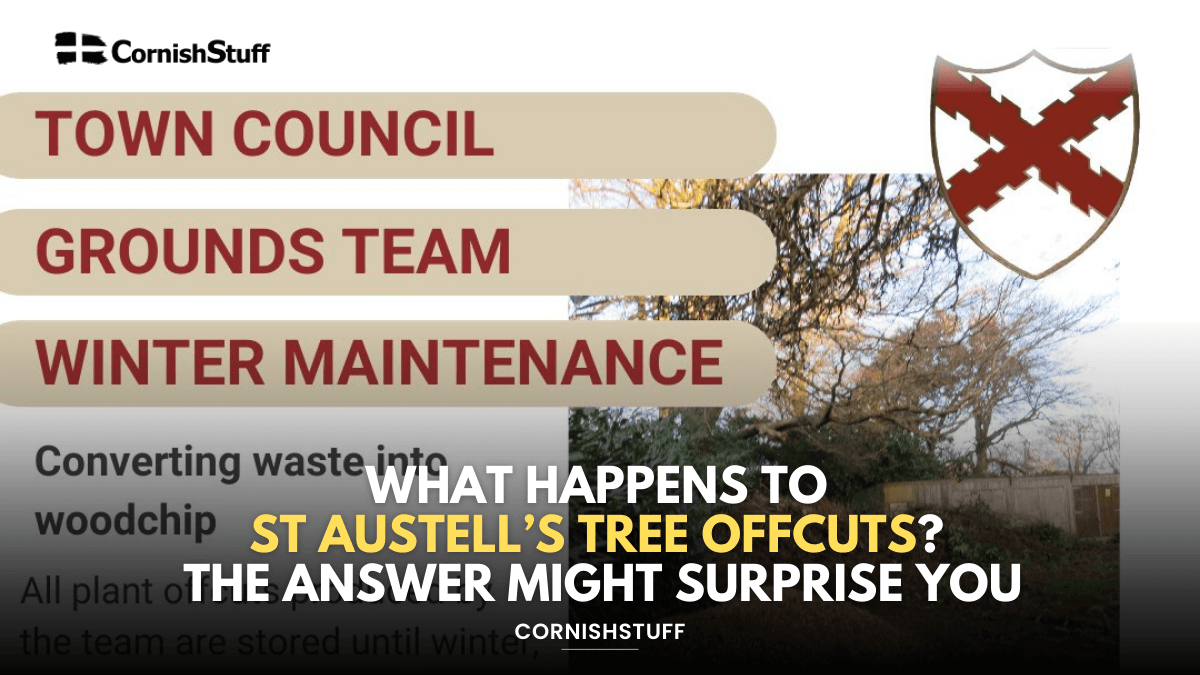 What Happens to St Austell’s Tree Offcuts? The Answer Might Surprise ...
