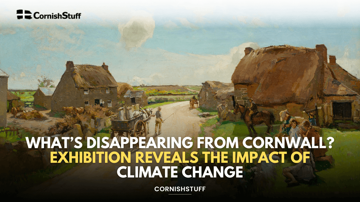 What’s Disappearing from Cornwall? Exhibition Reveals the Impact of ...