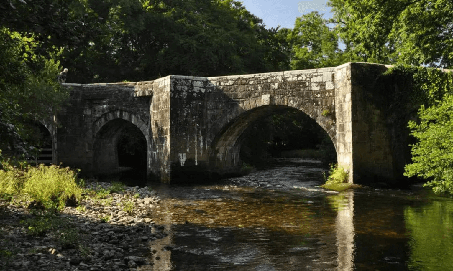 Cornwall’s Best Woodland Walks for an Enchanting Day Out - CornishStuff