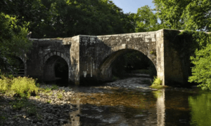 Cornwall’s Best Woodland Walks for an Enchanting Day Out - CornishStuff