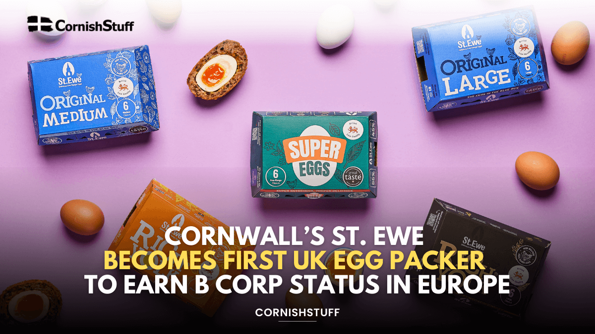 Cornwall’s St. Ewe Becomes First UK Egg Packer to Earn B Corp Status in ...