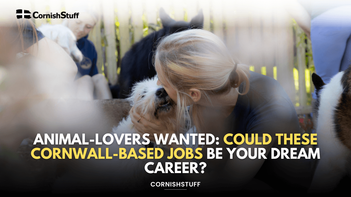 Animal-Lovers Wanted: Could These Cornwall-Based Jobs Be Your Dream ...