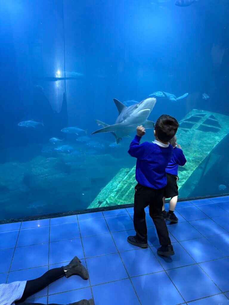 Altarnun Pupils Come Face to Face with Sharks on School Trip - CornishStuff