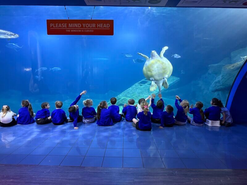 Altarnun Pupils Come Face to Face with Sharks on School Trip - CornishStuff