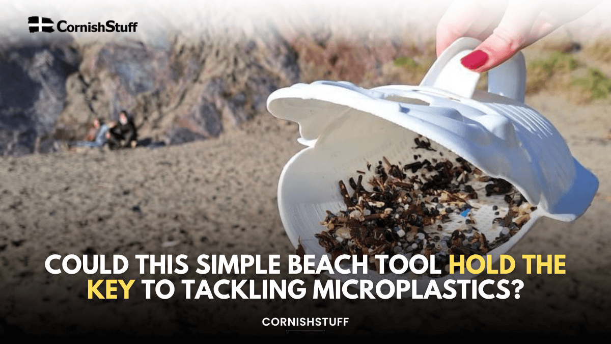 Could This Simple Beach Tool Hold the Key to Tackling Microplastics ...