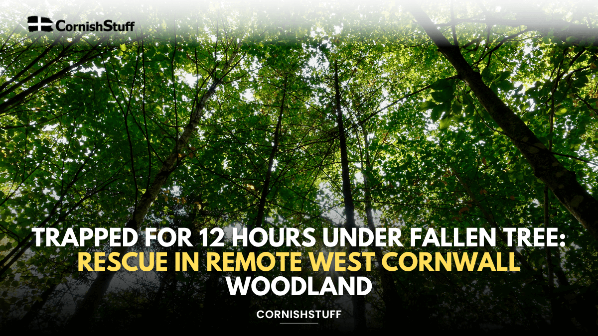 Trapped for 12 Hours Under Fallen Tree: Rescue in Remote West Cornwall ...