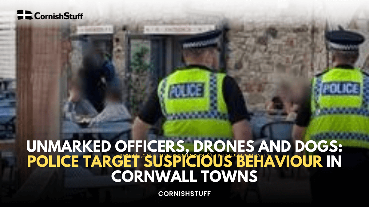 Unmarked Officers, Drones and Dogs: Police Target Suspicious Behaviour ...