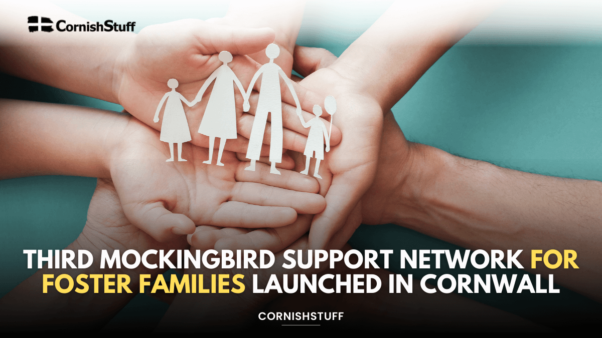 Third Mockingbird Support Network for Foster Families Launched in ...