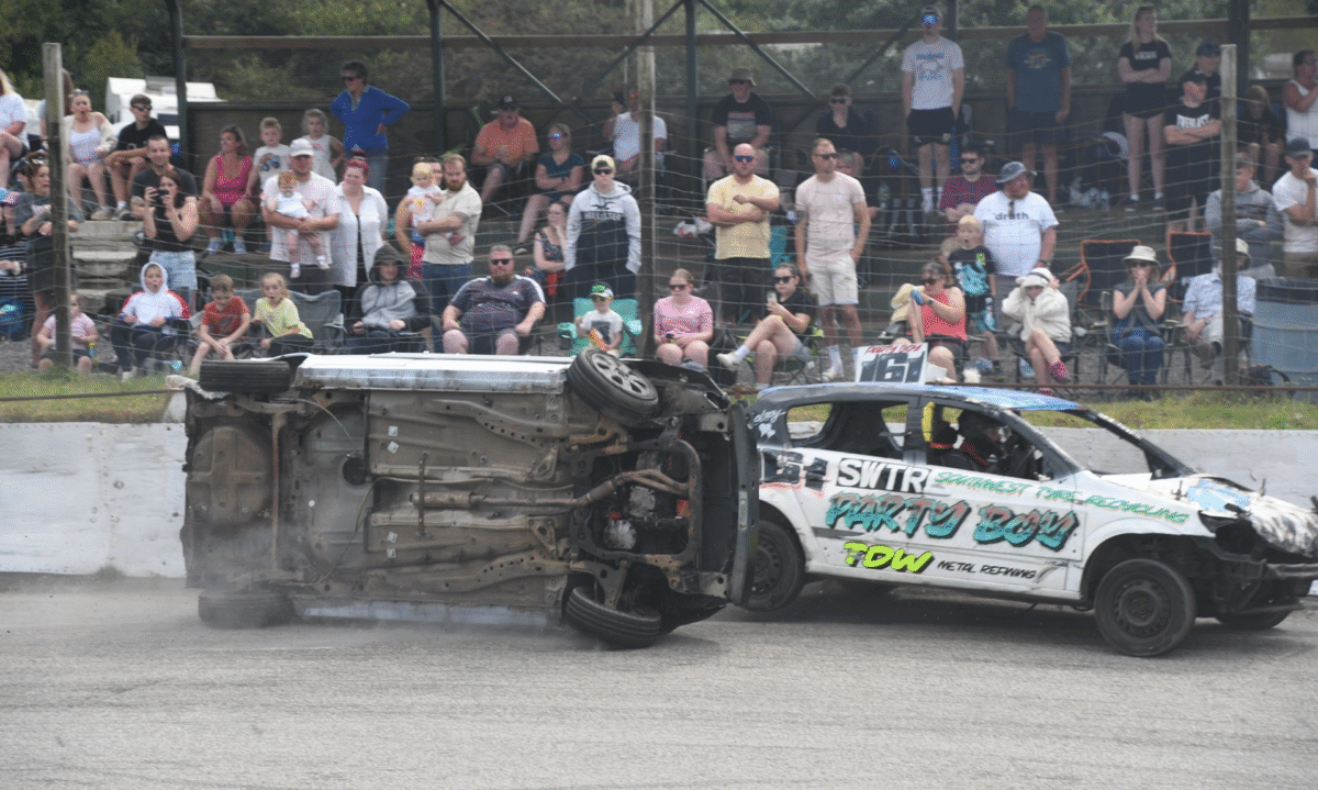 Cornwall Witnesses Increased Chough Sightings Ahead of Breeding Season ...