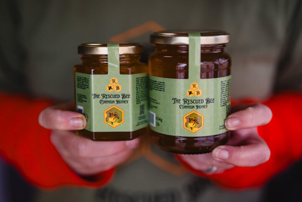 Truro Food Festival Returns to Lemon Quay This September - CornishStuff