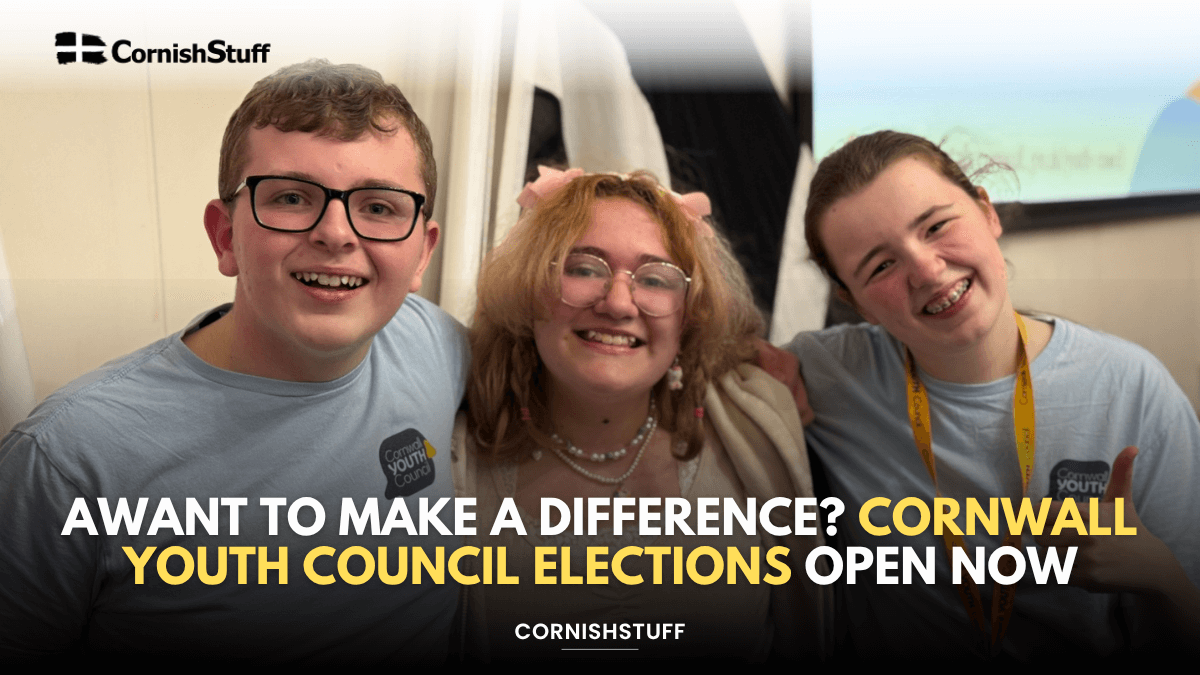 Want to Make a Difference? Cornwall Youth Council Elections Open Now ...