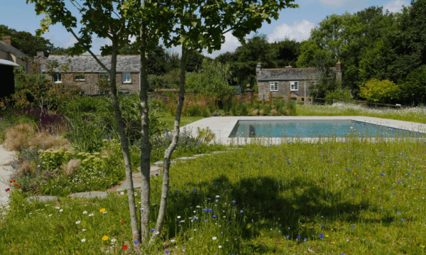 Latest News in Cornwall - CornishStuff