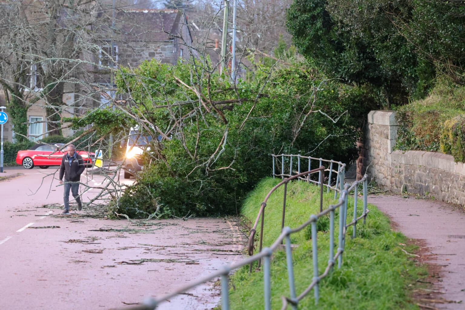 Fallen Trees Cause Disruption Across Penzance After Storm Goretti ...