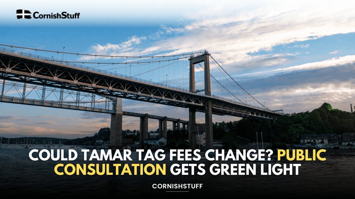 Could Tamar Tag Fees Change? Public Consultation Gets Green Light ...