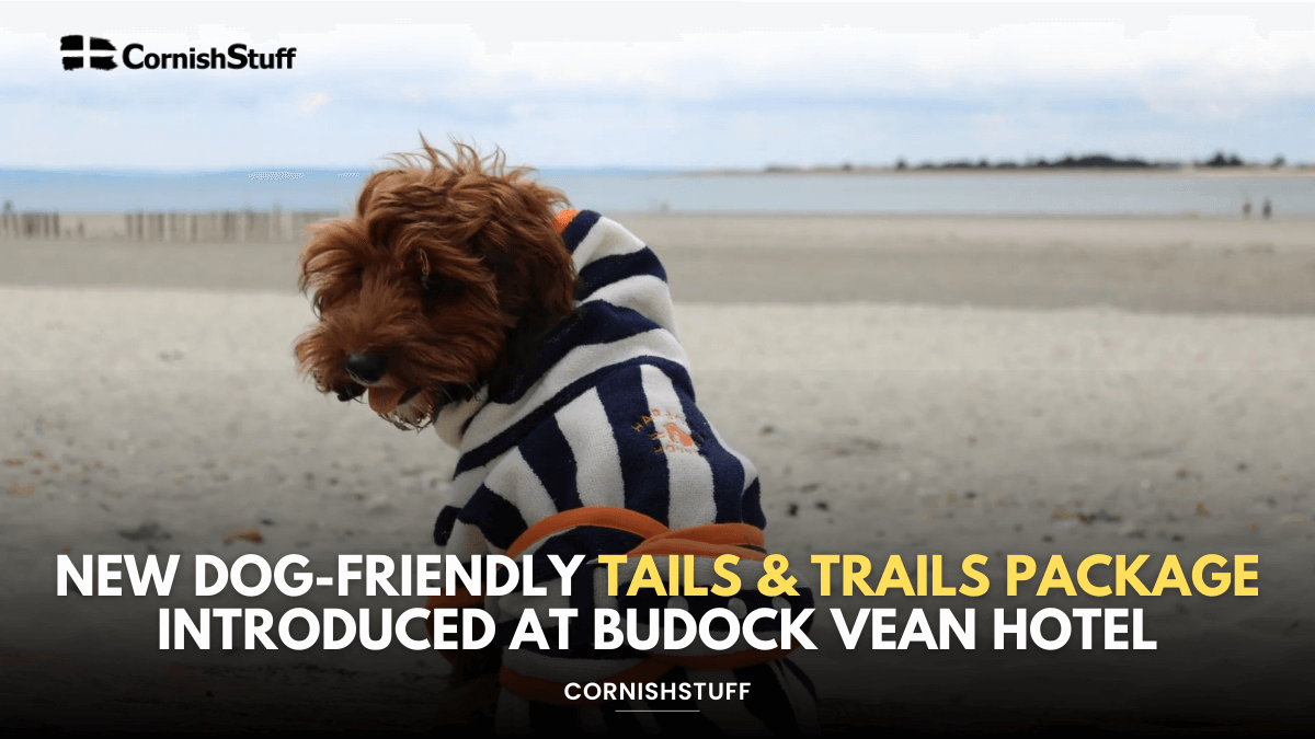 New Dog-Friendly Tails & Trails Package Introduced at Budock Vean Hotel ...