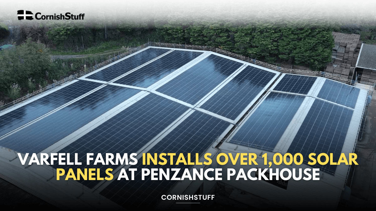 Varfell Farms Installs Over 1,000 Solar Panels at Penzance Packhouse ...